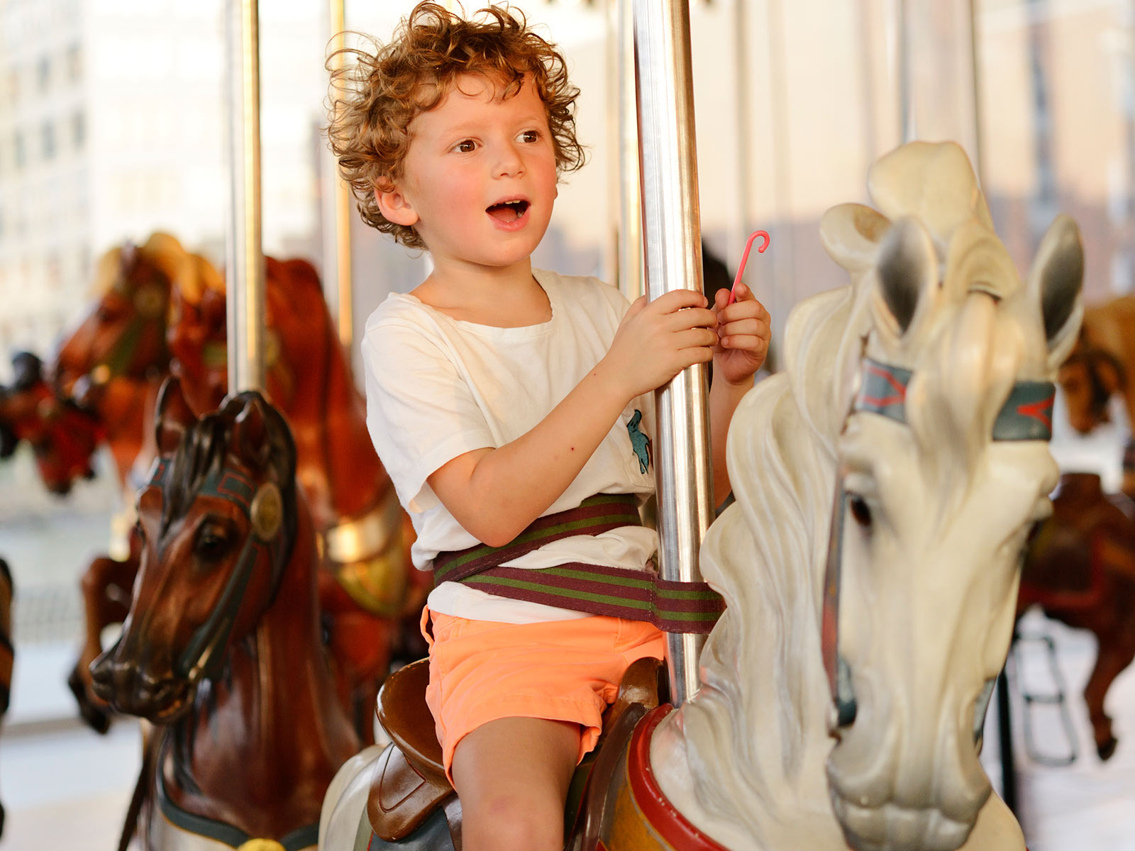 School Groups - Jane's Carousel